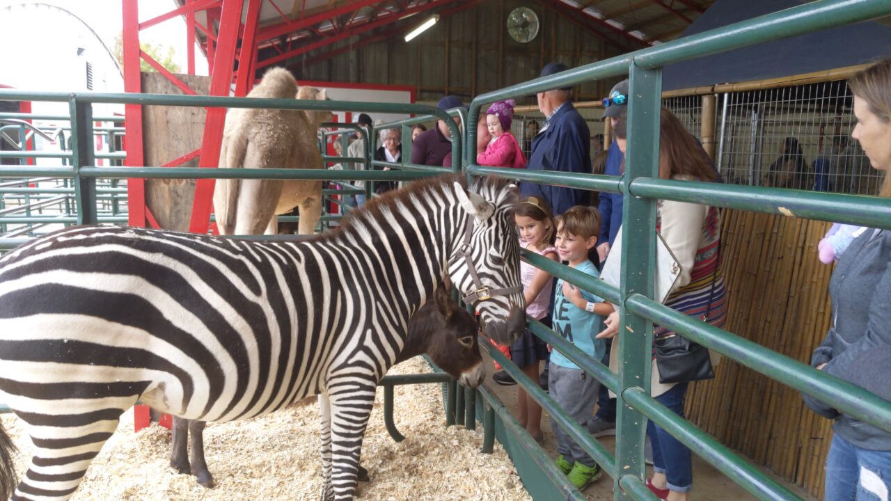 Entertainment - Carolina Classic Fair